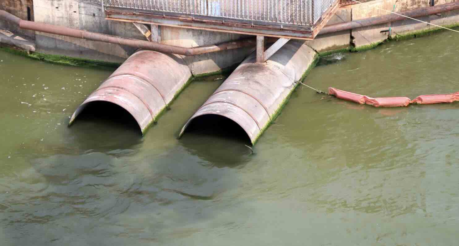 Mens ernstige bedreiging voor biodiversiteit - Geleerd uitschotGeleerd ...